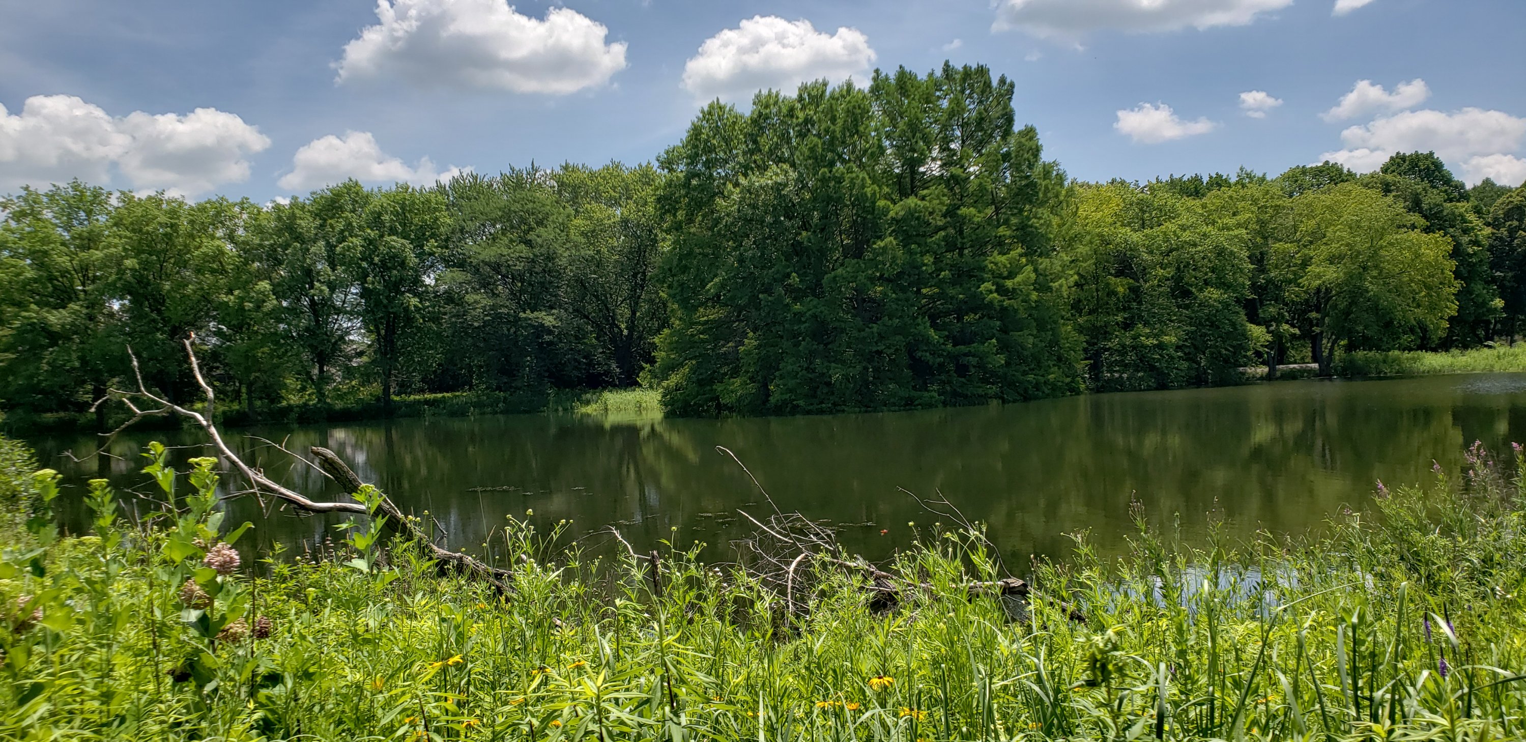 Blackberry Farm - Aurora, IL - life thru my hazel eyes