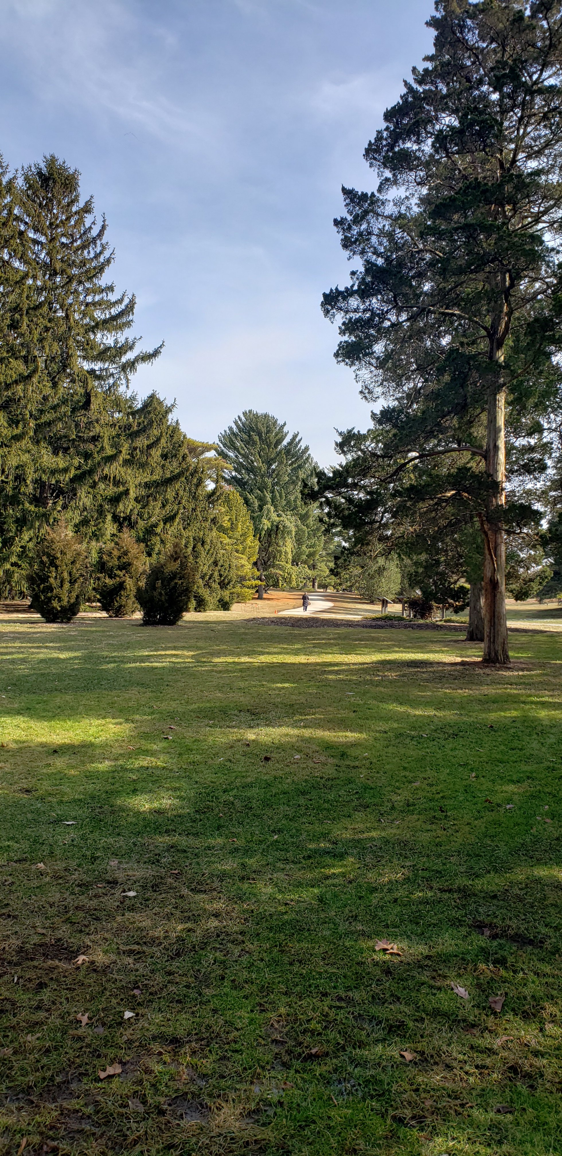 The Morton Arboretum - Lisle, IL - life thru my hazel eyes